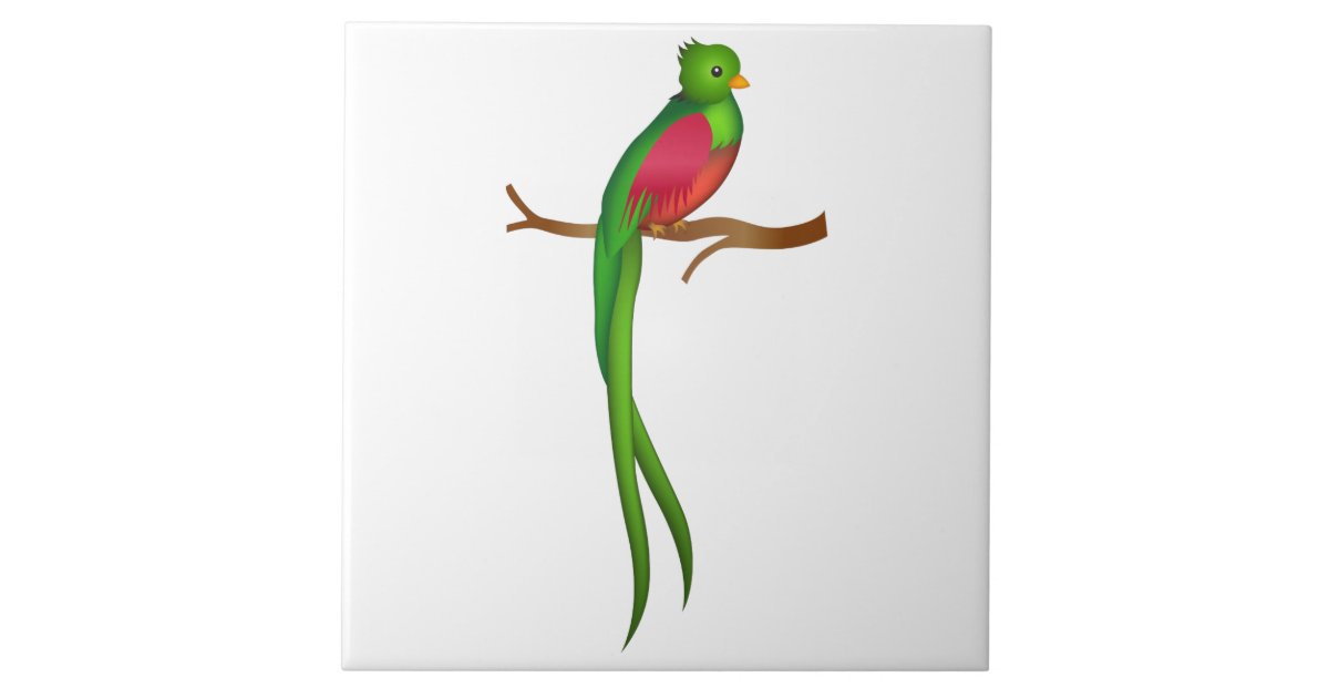 Cute bird Quetzal Ceramic Tile | Zazzle