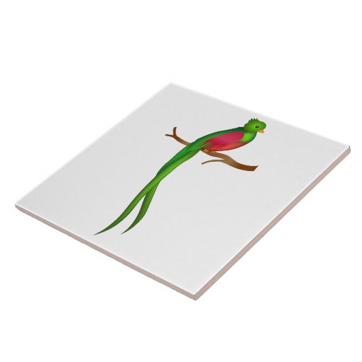 Cute bird Quetzal Ceramic Tile | Zazzle