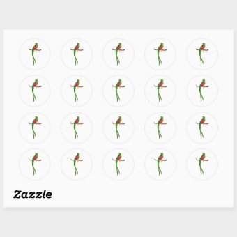 Cute bird Quetzal Classic Round Sticker | Zazzle