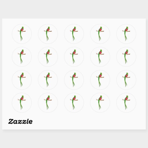 Cute bird Quetzal Classic Round Sticker | Zazzle
