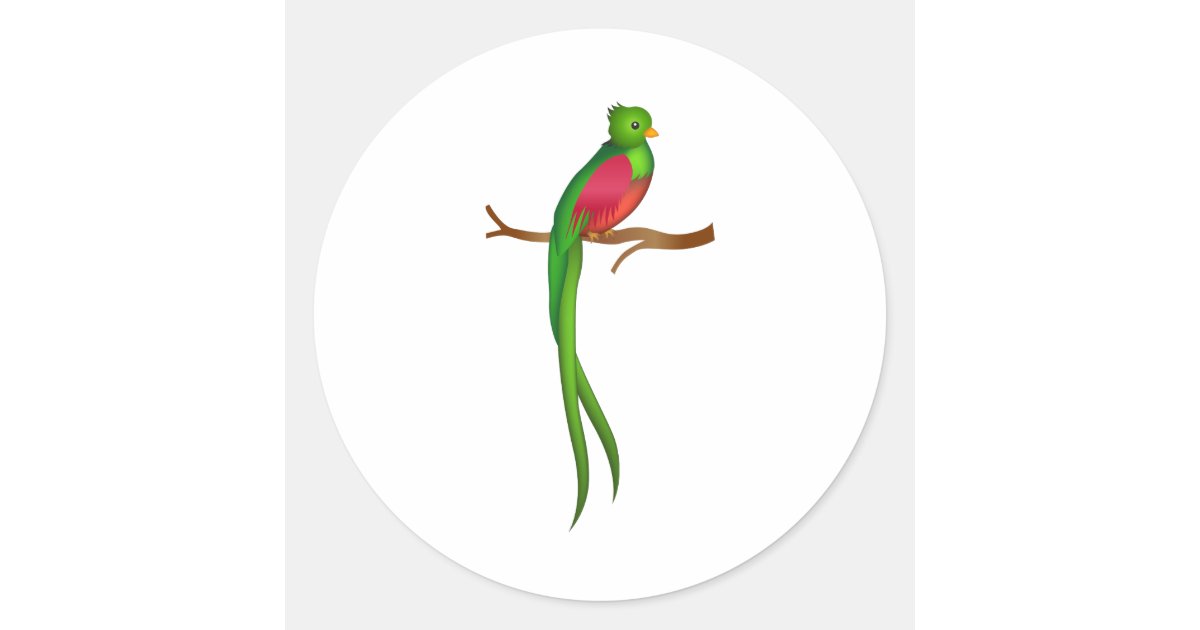 Cute bird Quetzal Classic Round Sticker | Zazzle