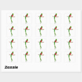 Cute bird Quetzal Square Sticker | Zazzle