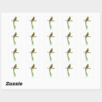 Cute bird Quetzal Square Sticker | Zazzle