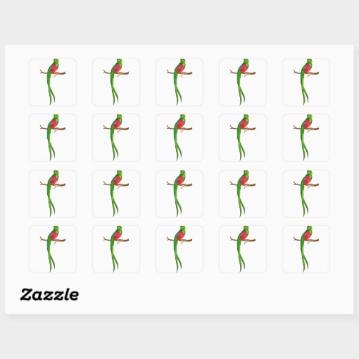 Cute bird Quetzal Square Sticker | Zazzle