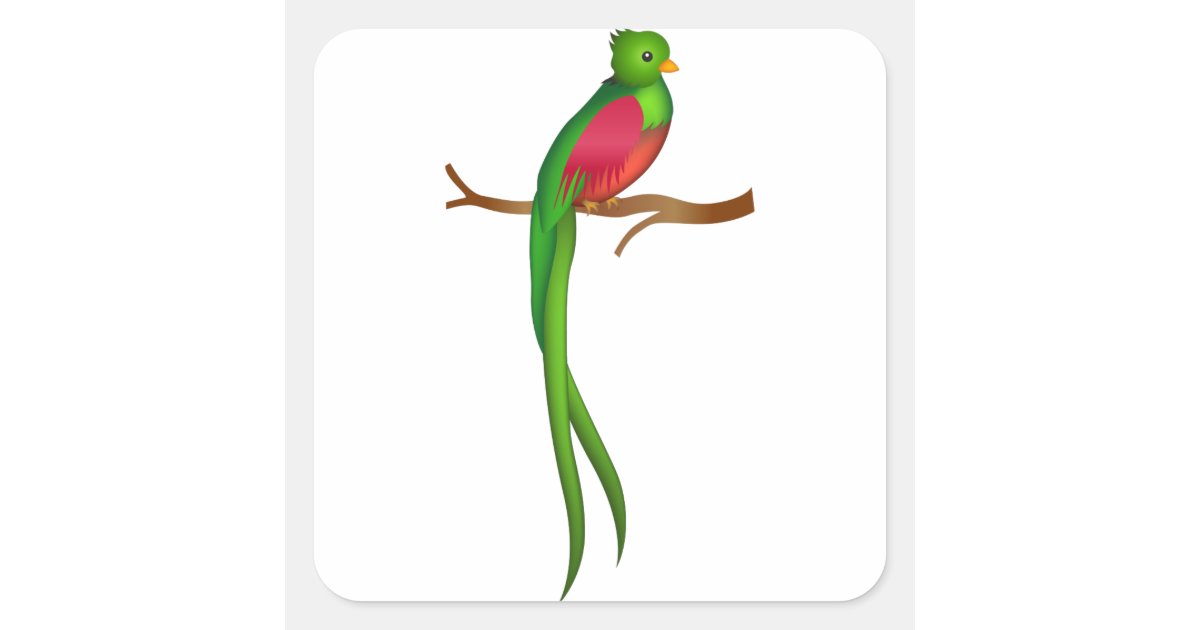 Cute bird Quetzal Square Sticker | Zazzle