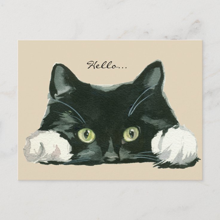 cute black and white cat hello postcard | Zazzle