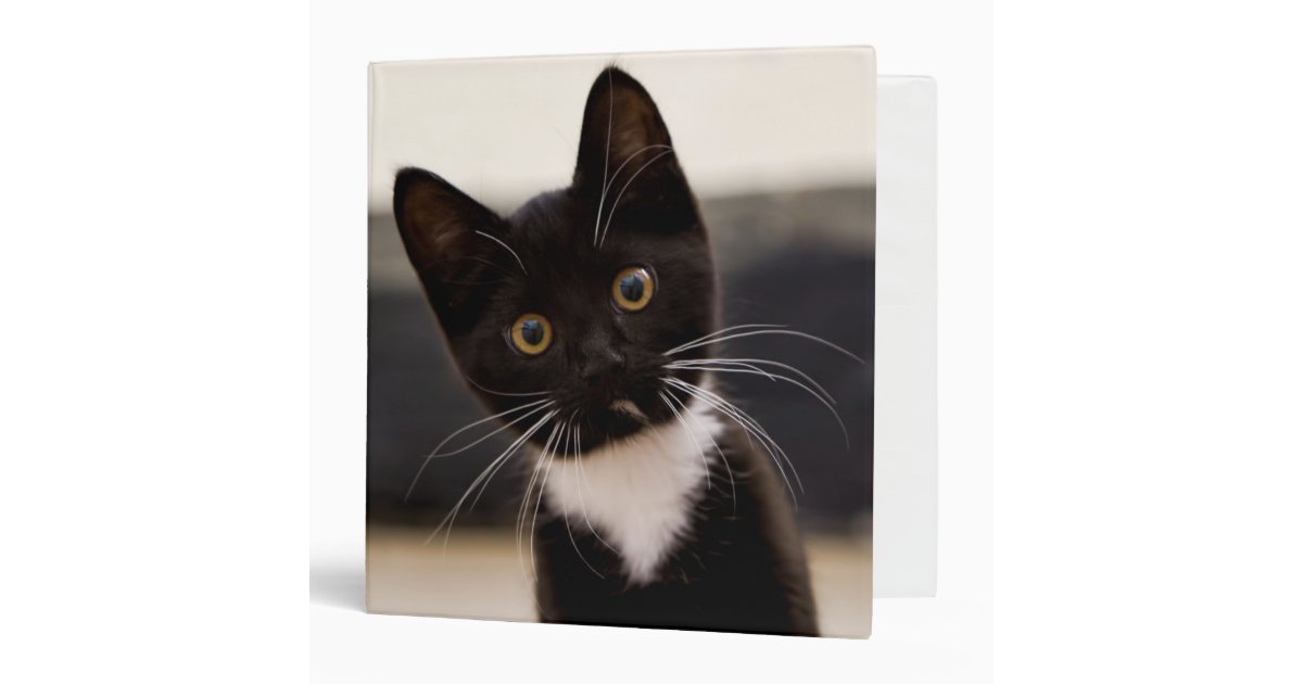 Cute Black And White Tuxedo Kitten Binder | Zazzle