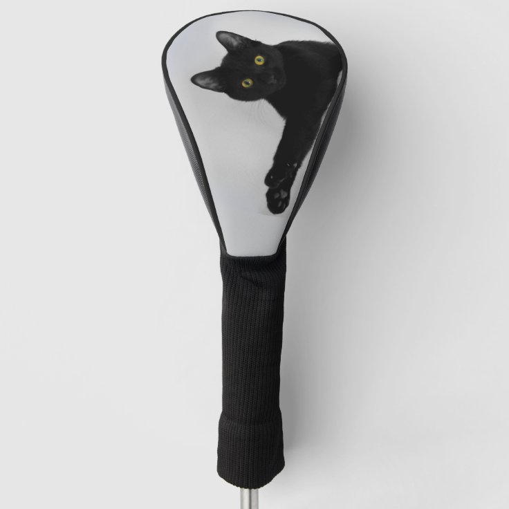 Cute Black Cat Photo Golf Head Cover | Zazzle
