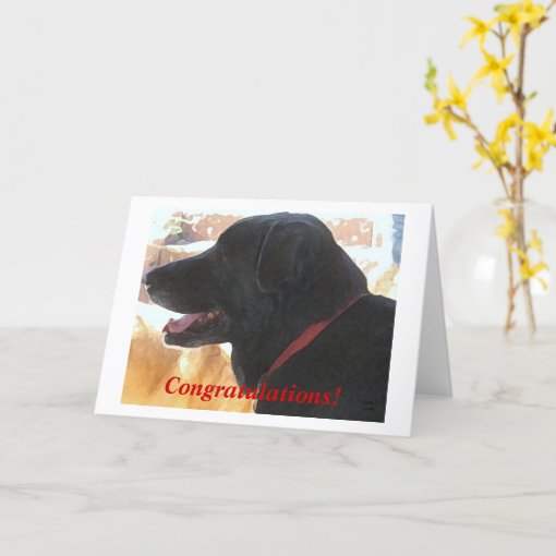 Cute Black Lab Dog Congratulations DVM Graduation Card | Zazzle