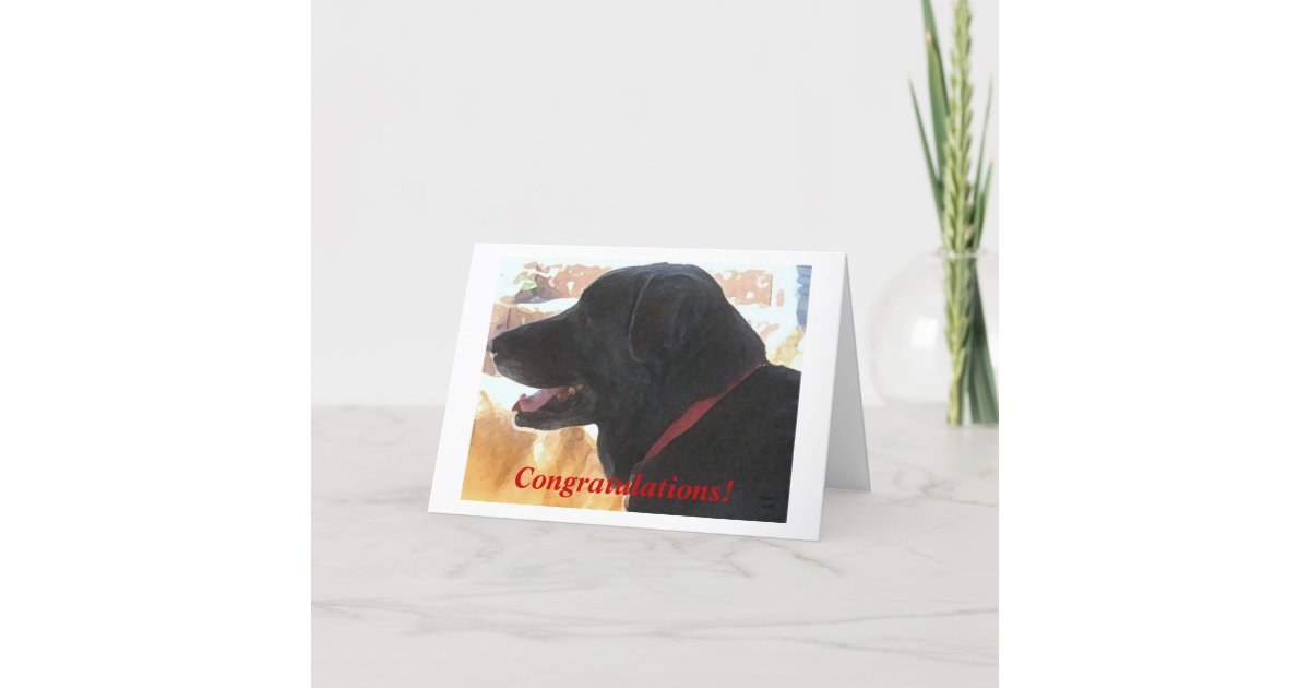 Cute Black Lab Dog Congratulations DVM Graduation Card | Zazzle