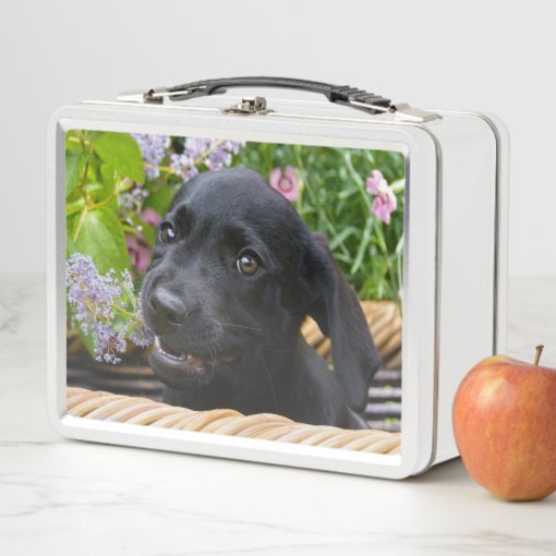 Cute Black Labrador Retriever Dog Puppy Pet Photo Metal Lunch Box | Zazzle
