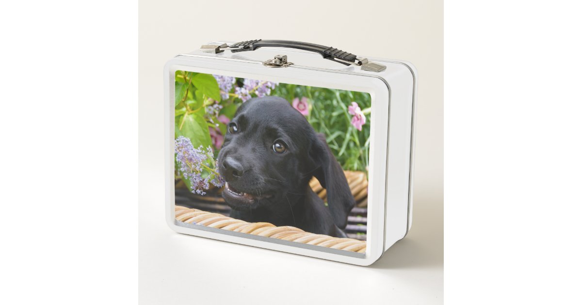 Cute Black Labrador Retriever Dog Puppy Pet Photo Metal Lunch Box | Zazzle