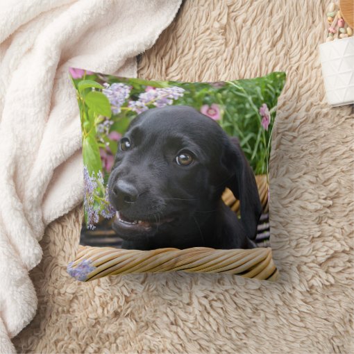 Cute Black Labrador Retriever Dog Puppy Pet Photo Throw Pillow | Zazzle