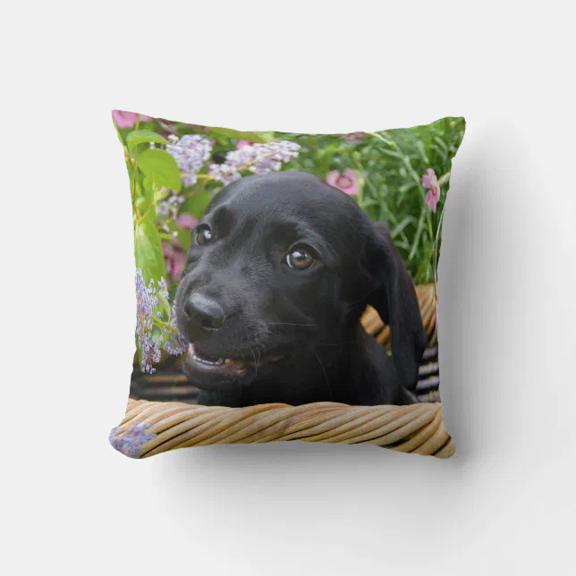 Cute Black Labrador Retriever Dog Puppy Pet Photo Throw Pillow | Zazzle