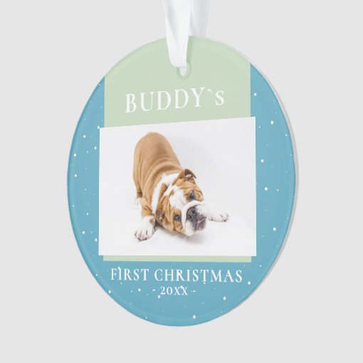 Cute Blue Green First Christmas Puppy Photo Ornament | Zazzle