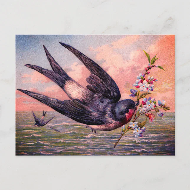 Cute Blue Orange Swallow Bird And Pretty Flowers Postcard | Zazzle
