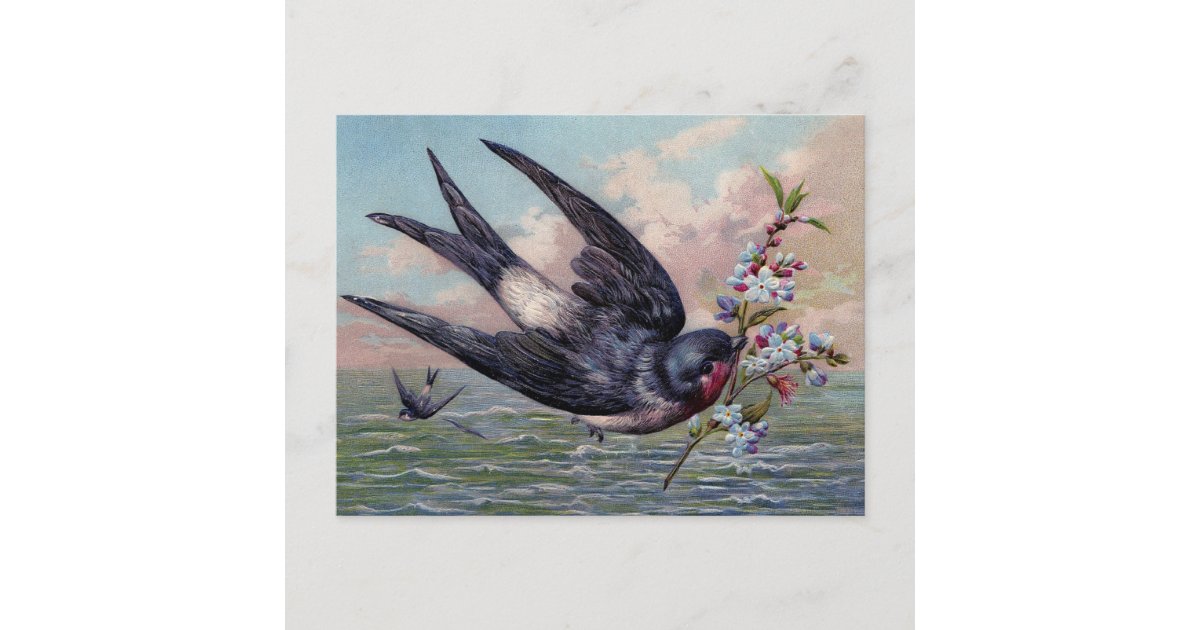 Cute Blue Red Swallow Bird And Pretty Flowers Postcard | Zazzle