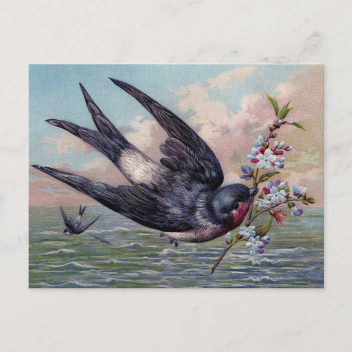 Cute Blue Red Swallow Bird And Pretty Flowers Postcard | Zazzle