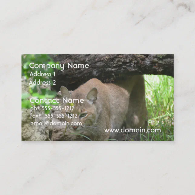 Cute Bobcat Business Card | Zazzle