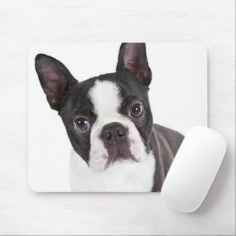 Cute Boston Terrier Mom Puppy Funny Dog Lover Mouse Pad | Zazzle
