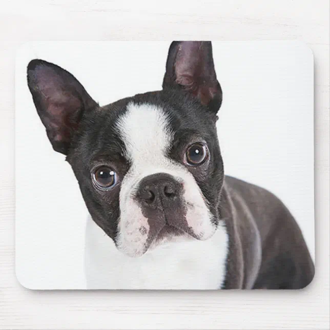 Cute Boston Terrier Mom Puppy Funny Dog Lover Mouse Pad | Zazzle