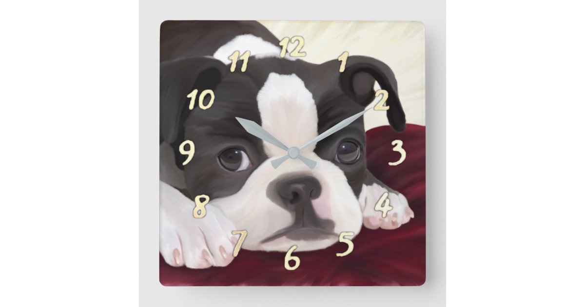 Cute Boston terrier wall clock | Zazzle