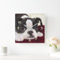 Cute Boston terrier wall clock | Zazzle