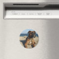 Cute Boxer Dog Magnet | Zazzle