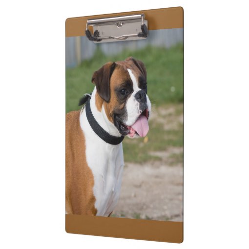 Cute Boxer / Dog Photo Clipboard | Zazzle