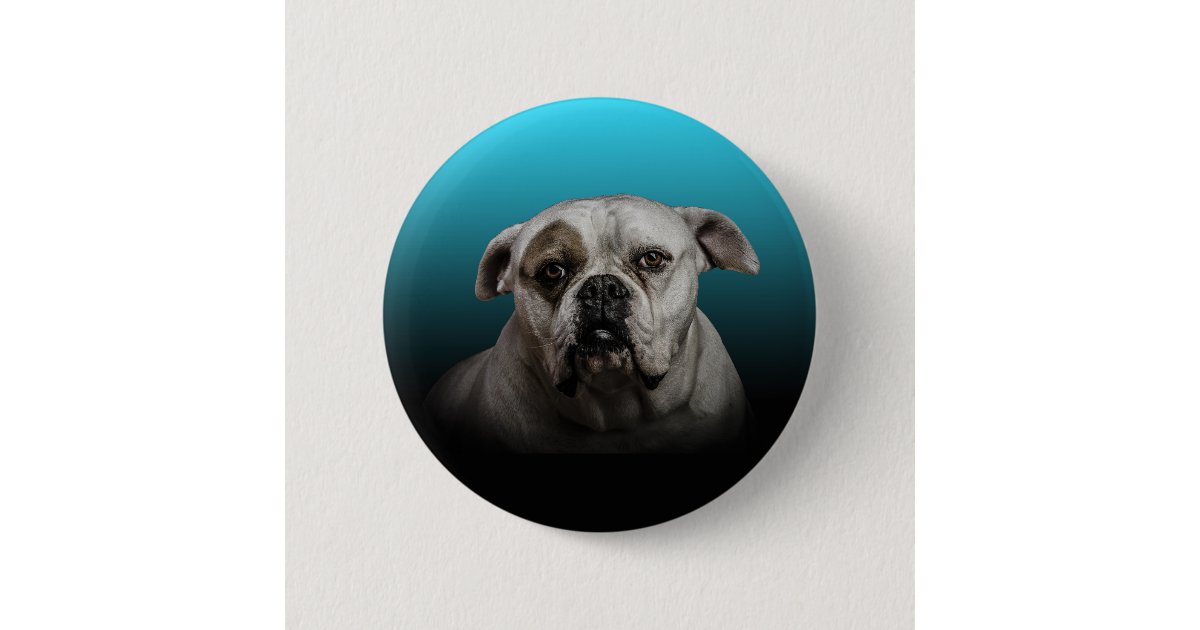Cute Boxer Dog w Blue Black Gradient background Pinback Button | Zazzle