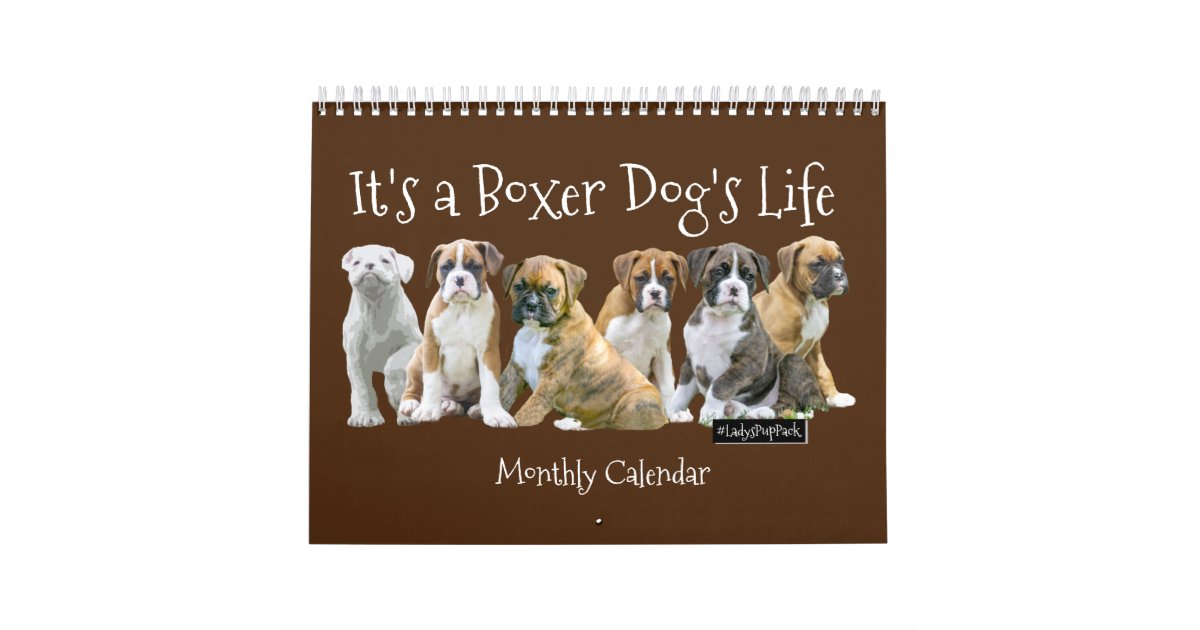 Cute Boxer Puppies Calendar | Zazzle
