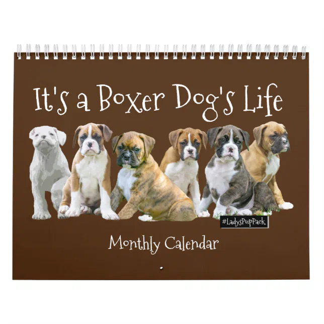 Cute Boxer Puppies Calendar | Zazzle