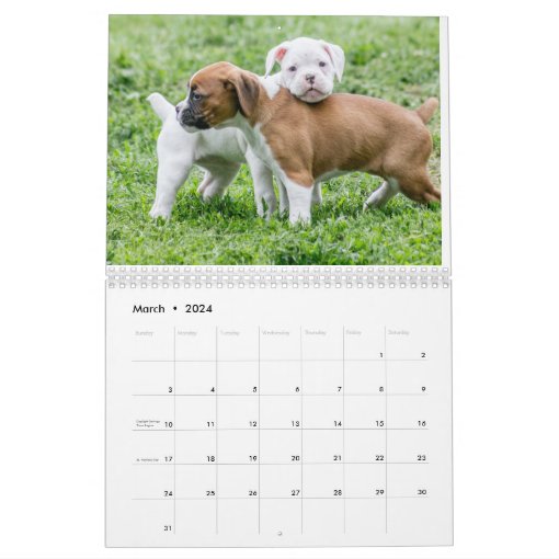 Cute Boxer Puppies Calendar | Zazzle