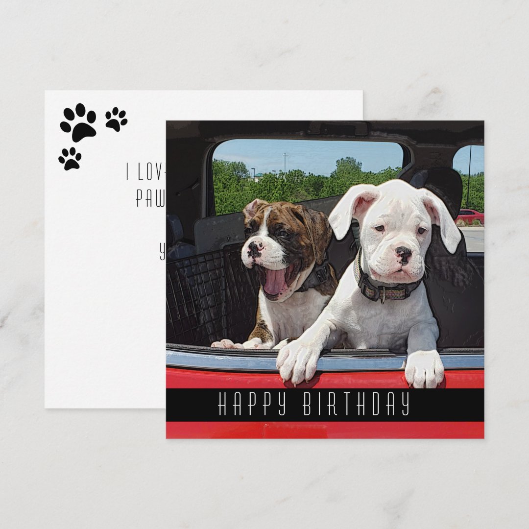 Cute Boxer Puppy Happy Birthday Dogs Announcement | Zazzle