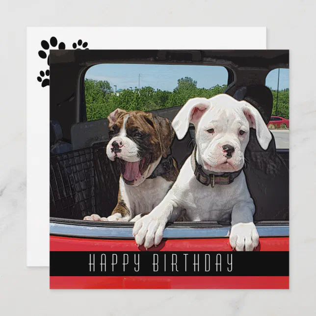 Cute Boxer Puppy Happy Birthday Dogs Announcement | Zazzle
