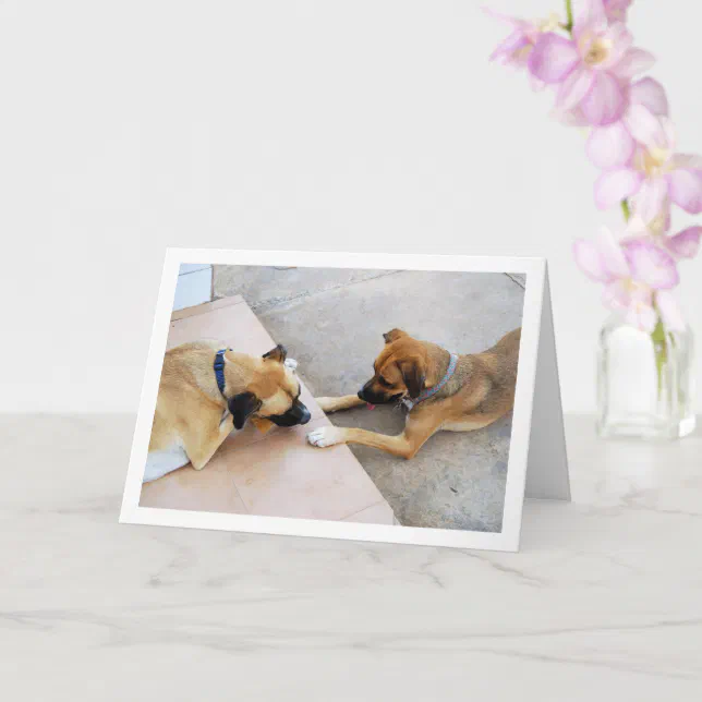 Cute Brother and Sister, Dog Portrait Card | Zazzle