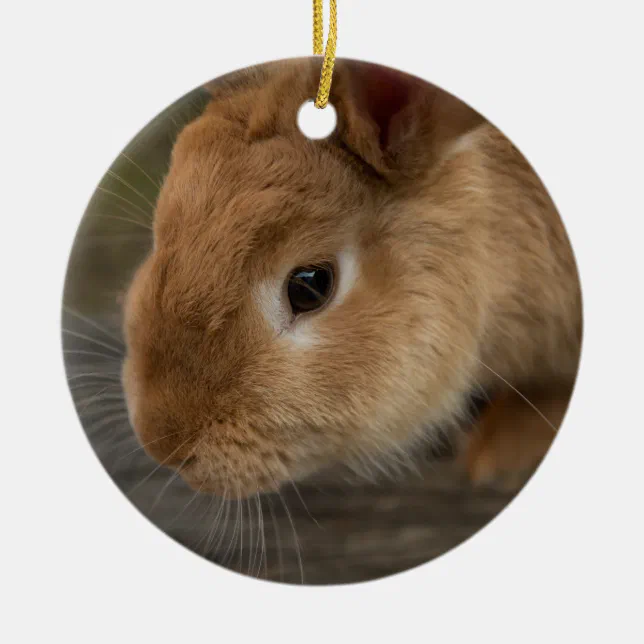 Cute brown bunny ceramic ornament | Zazzle
