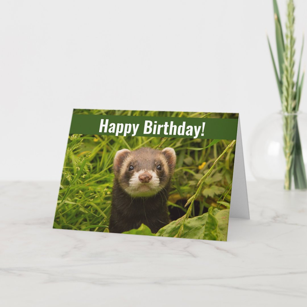Cute Brown Ferret in the Grass Happy Birthday Card | Zazzle
