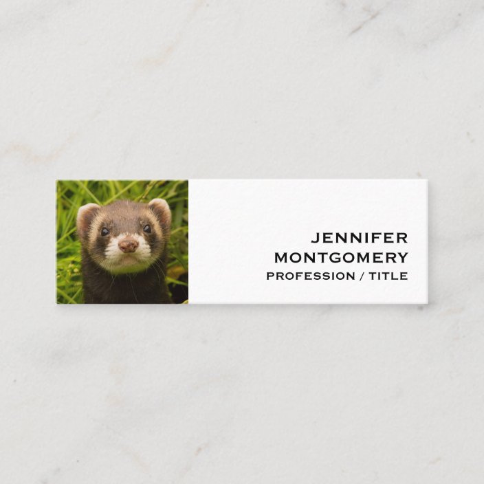 Cute Brown Ferret in the Grass Mini Business Card | Zazzle.com
