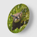 Cute Brown Ferret in the Grass Round Clock | Zazzle