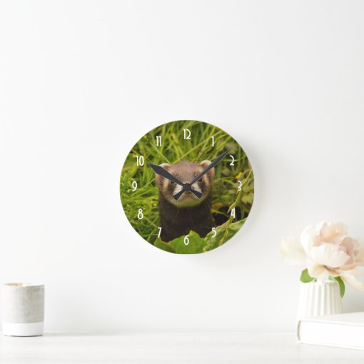 Cute Brown Ferret in the Grass Round Clock | Zazzle