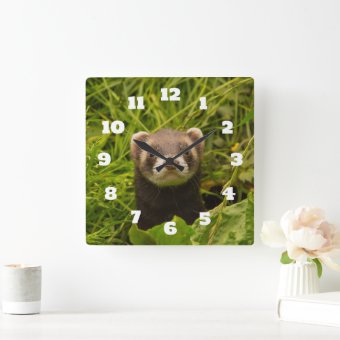 Cute Brown Ferret in the Grass Square Wall Clock | Zazzle