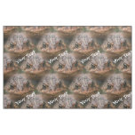Cute Frog Pattern Fabric | Zazzle.com