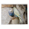 Cute budgies - snapshots of the little birds calendar | Zazzle