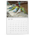 Cute budgies - snapshots of the little birds calendar | Zazzle