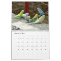 Cute budgies - snapshots of the little birds calendar | Zazzle