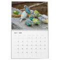 Cute budgies - snapshots of the little birds calendar | Zazzle