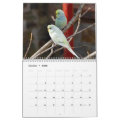 Cute budgies - snapshots of the little birds calendar | Zazzle