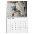 Cute budgies - snapshots of the little birds calendar | Zazzle