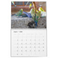 Cute budgies - snapshots of the little birds calendar | Zazzle